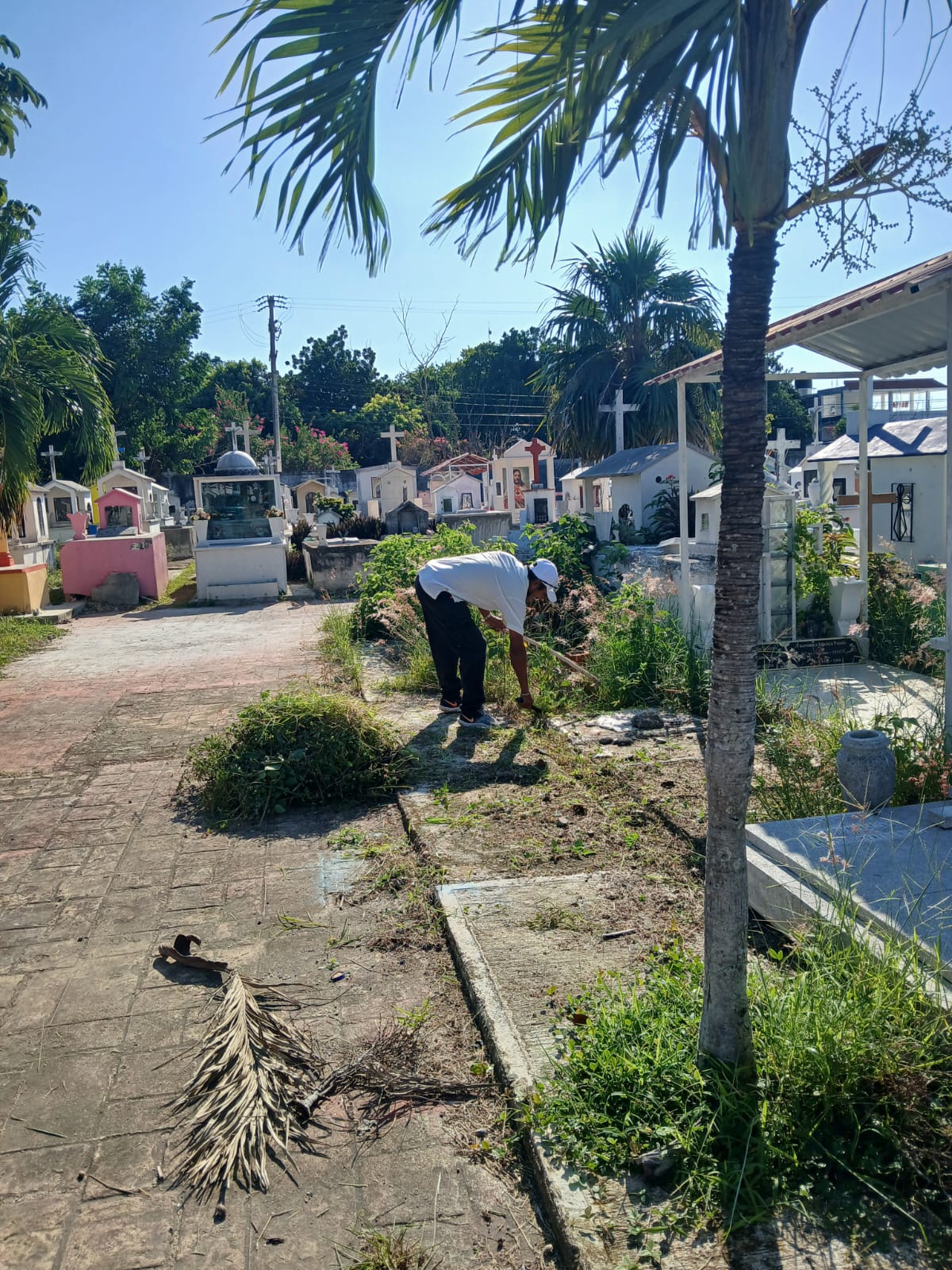Preparados panteones de Chetumal para el Día de Muertos - Noticiero en ...